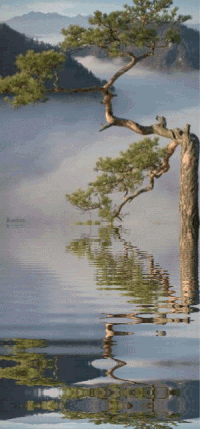 Landscape GIFs - Get the best gif on GIFER