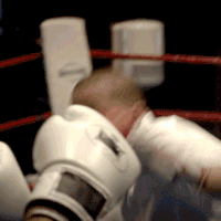 Boxing GIFs - Get the best gif on GIFER
