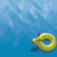 Floating GIFs - Get the best gif on GIFER