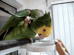 Sufficient GIFs - Get the best gif on GIFER
