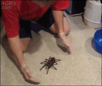 Tickets GIFs - Get the best gif on GIFER