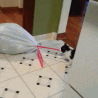 Basura GIFs - Get the best gif on GIFER