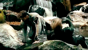 Overly dramatic GIF - Conseguir o melhor gif em GIFER