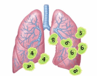 Bacteria GIFs - Get the best gif on GIFER