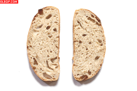 Tostadas GIF - Conseguir o melhor gif em GIFER