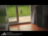 Operations GIFs - Get the best gif on GIFER