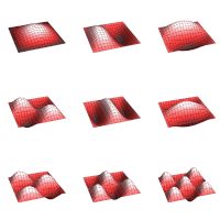 Membrane GIFs - Get the best gif on GIFER