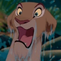 Nala GIFs - Get the best gif on GIFER
