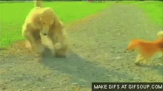 Calbee GIFs - Get the best gif on GIFER