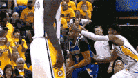Knicks GIFs - Get the best gif on GIFER