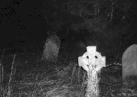 Graveyard GIFs - Get the best gif on GIFER