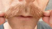 Moustache GIFs - Get the best gif on GIFER