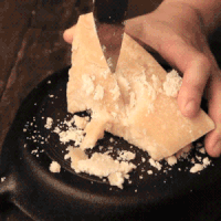 Cheese GIFs - Get the best gif on GIFER