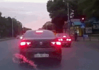 Licenses GIFs - Get the best gif on GIFER