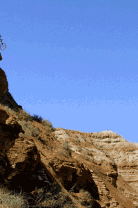 Weeeeeeeeeeeeeeeee GIFs - Get the best gif on GIFER