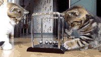 Nudge GIFs - Get the best gif on GIFER
