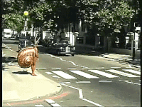 Patience GIFs - Get the best gif on GIFER