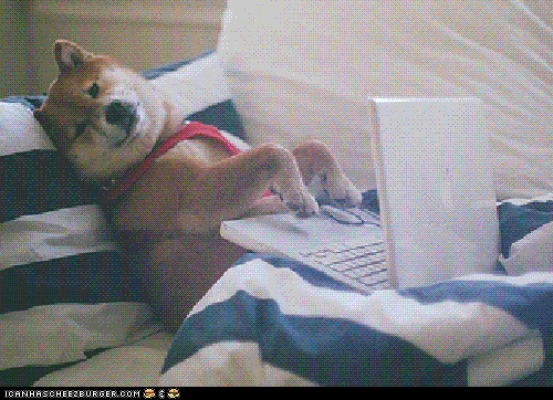 Working alone GIFs - Get the best gif on GIFER