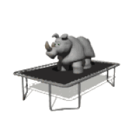 Rhinoceros GIFs - Get the best gif on GIFER