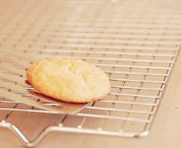 Bolacha GIFs - Get the best gif on GIFER