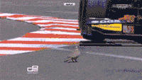 Monaco GIFs - Get the best gif on GIFER
