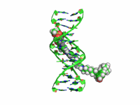 Simulation GIFs - Get the best gif on GIFER