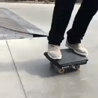 Flurry GIFs - Get the best gif on GIFER