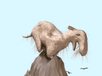 Yaks GIFs - Get the best gif on GIFER