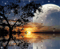 Relaxing GIFs - Get the best gif on GIFER