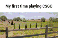 Collection GIFs - Get the best gif on GIFER