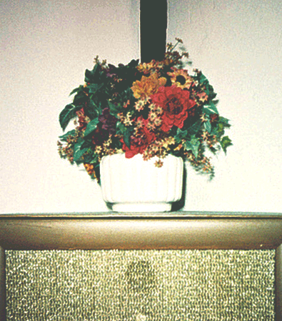 Besant lodge GIF - Conseguir o melhor gif em GIFER