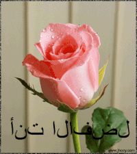 Arabic GIFs - Get the best gif on GIFER