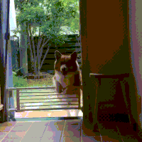 Obstacles GIFs - Get the best gif on GIFER