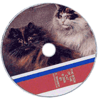 Cd GIFs - Get the best gif on GIFER