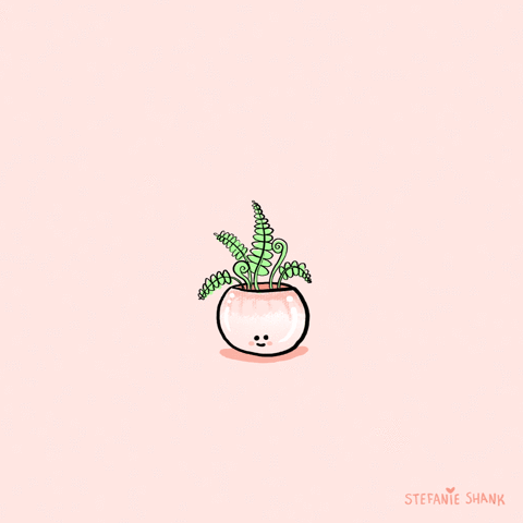 Crazy plant lady GIFs - Get the best gif on GIFER