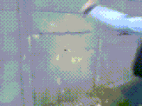 Concrete GIFs - Get the best gif on GIFER