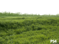 Газон GIFs - Get the best gif on GIFER