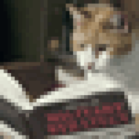 Brechen GIFs - Get the best gif on GIFER