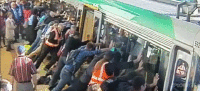Perth GIFs - Get the best gif on GIFER