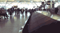 Luggage GIFs - Get the best gif on GIFER