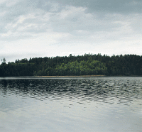 Ripple GIFs - Get the best gif on GIFER