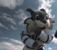 Ciel GIFs - Get the best gif on GIFER