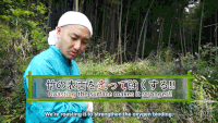 Bamboo GIFs - Get the best gif on GIFER