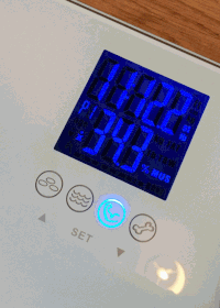 Scales GIFs - Get the best gif on GIFER