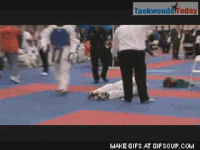 Taekwondo GIF - Conseguir el mejor gif en GIFER