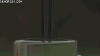 Tuning GIFs - Get the best gif on GIFER