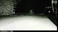 Cat burglar GIFs - Get the best gif on GIFER