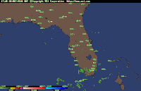 Florida GIFs - Get the best gif on GIFER