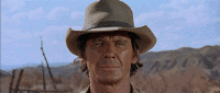 Western GIFs - Get the best gif on GIFER