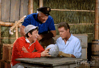 Gilligans GIFs - Get the best gif on GIFER